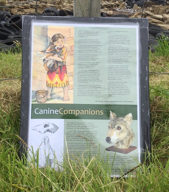 Ness of Brodgar Excavation Site to Close After 2024 Season – The Orkney ...