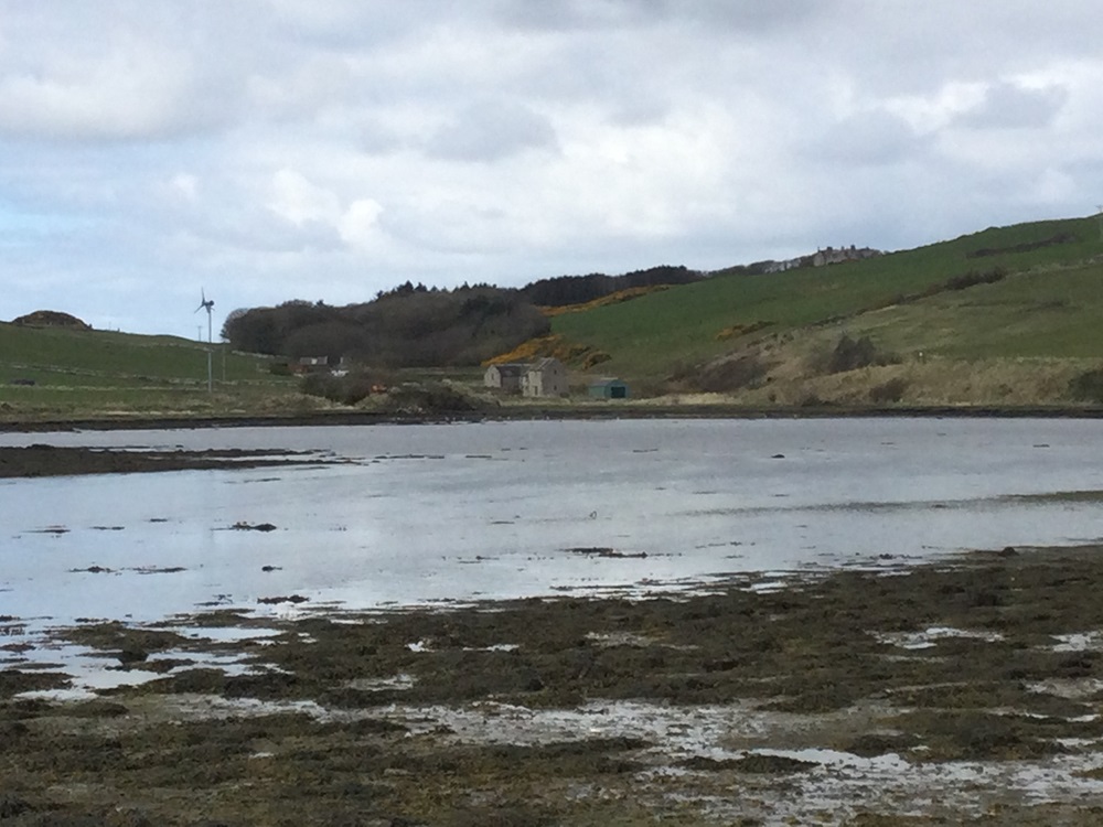 Walking Orkney: The Ouse, Finstown – The Orkney News