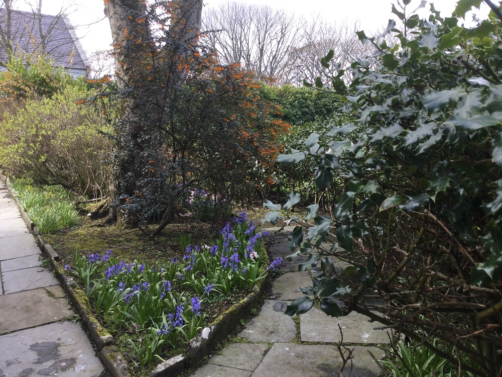 April in Tankerness House Gardens – The Orkney News