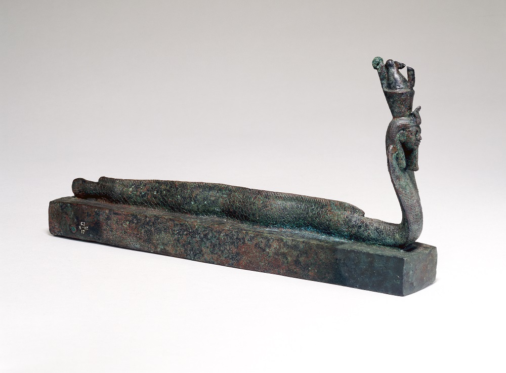 The Lizard Mummies of Ancient Egypt – The Orkney News