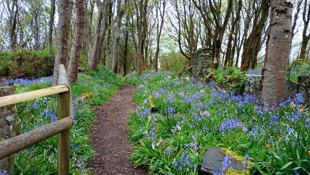 Weather Forecast 22 April: Cloudy with some rain, but Orkney brighter ...