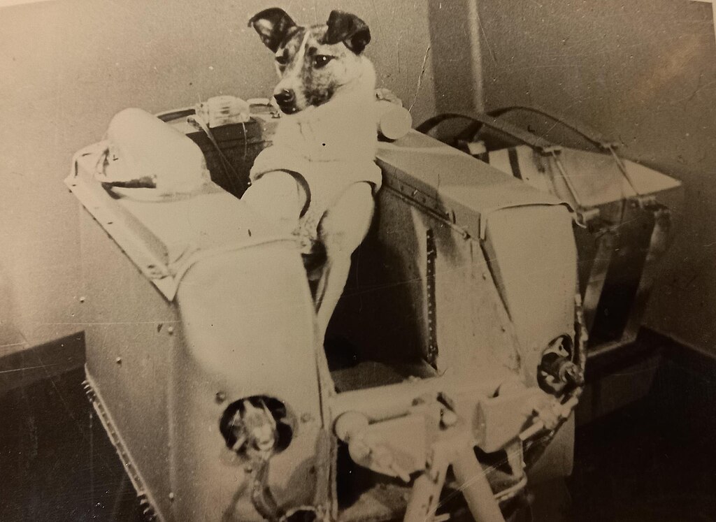 Laika #OnThisDay – The Orkney News
