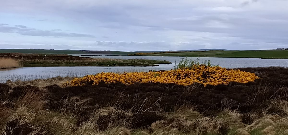 Weather Forecast 23 April: Cloudy over Orkney in the afternoon. – The ...