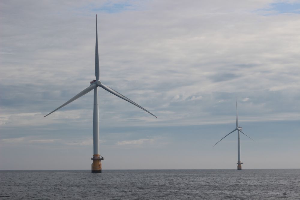 Offshore Wind Development & the Impact on Marine Species – The Orkney News